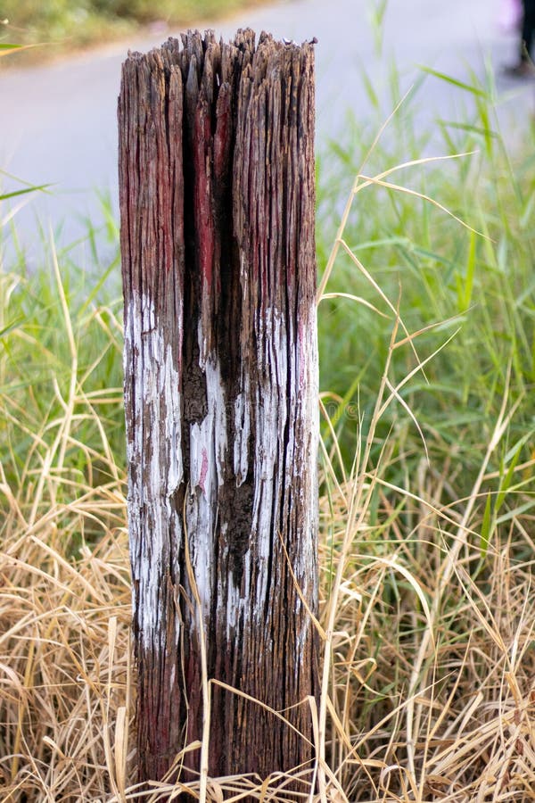 Close-up Photos of Old Wooden Posts Stock Image - Image of field, post ...