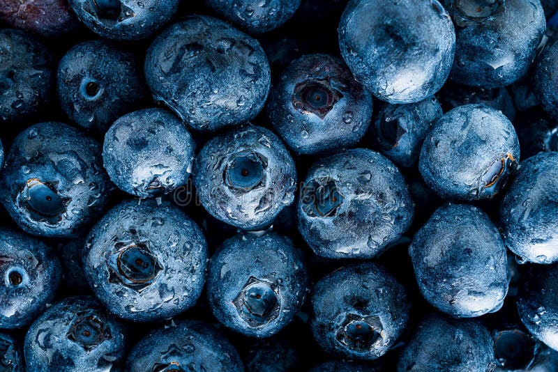 Close Up Picture of Group of Blueberry and Dew Drops Fruit Pattern ...