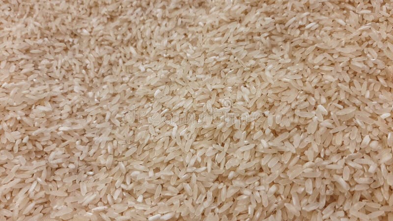 Close Up Picture of Rice in Supermarket Stock Photo - Image of closeup ...