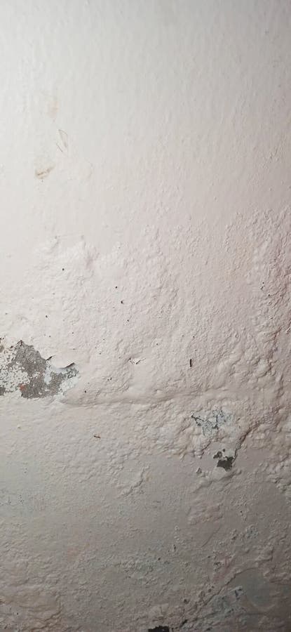 A Close Up Picture of Wall Paint Bubbling and Peeling. Common Problems ...