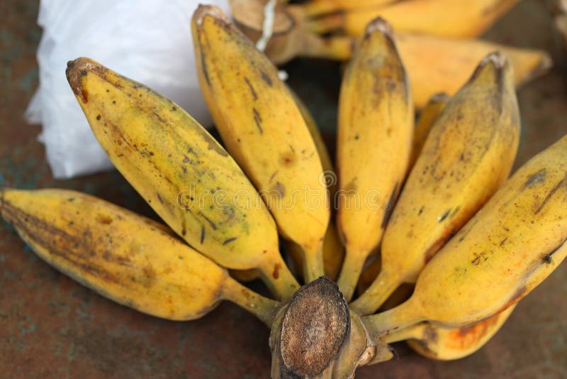 Close-up Pictures of Yellow Banana Isolated Objects Stock Image - Image ...