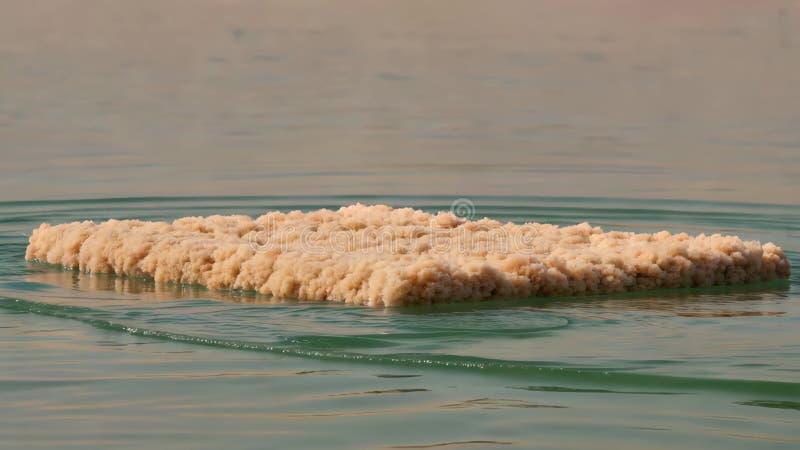 Close-up of Floating Objects on the Surface of the Water, Generative AI ...