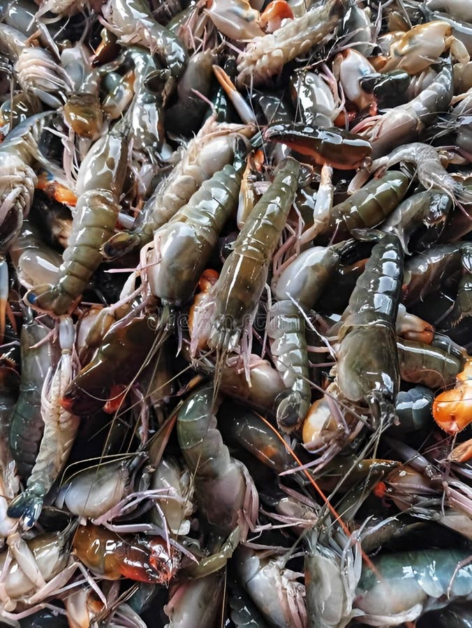 A Close Up of a Pile of Blue Shrimp Sitting on Top of a Table. Stock ...