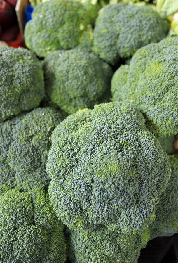 Close Up of Pile of Broccoli. Broccoli Vegetable Texture Stock Image ...