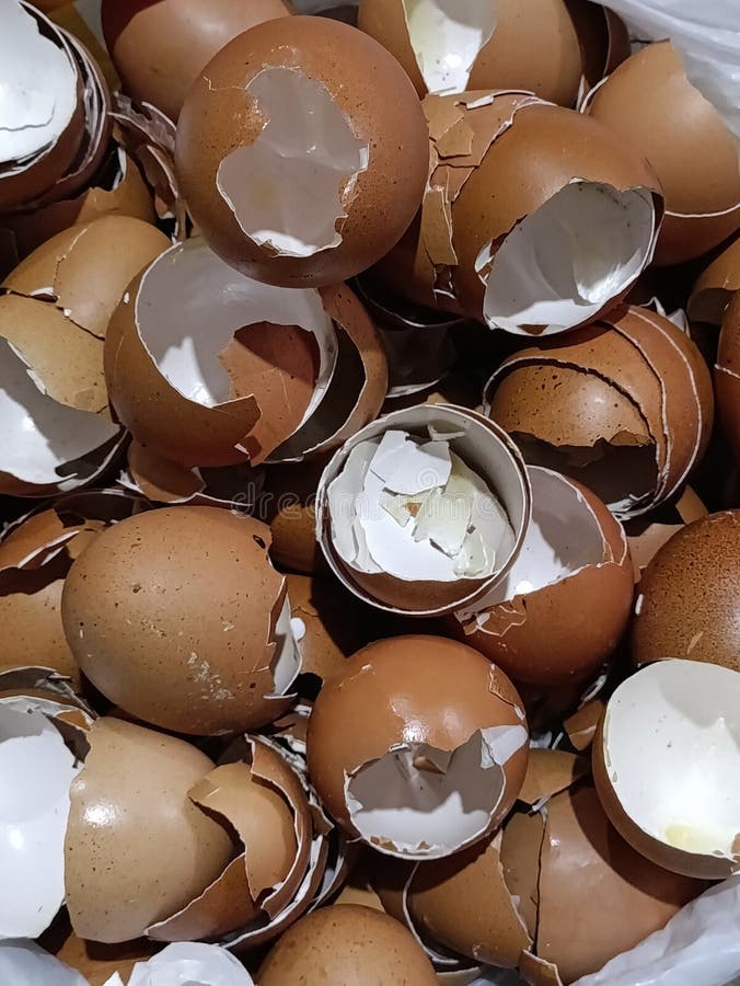 Close-Up of a Pile of Broken Egg Shells Stock Image - Image of ...