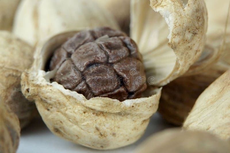 Close-up of a Pile of Cardamom Seeds Stock Photo - Image of cardamom ...