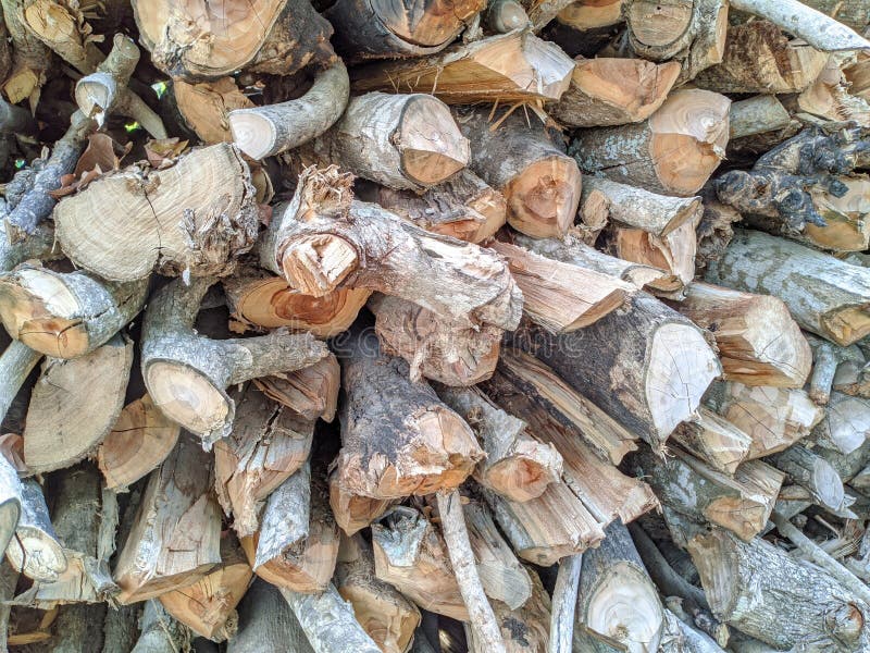 Close-up of a Pile of Dry Logs. Stock Photo - Image of logs, geology ...