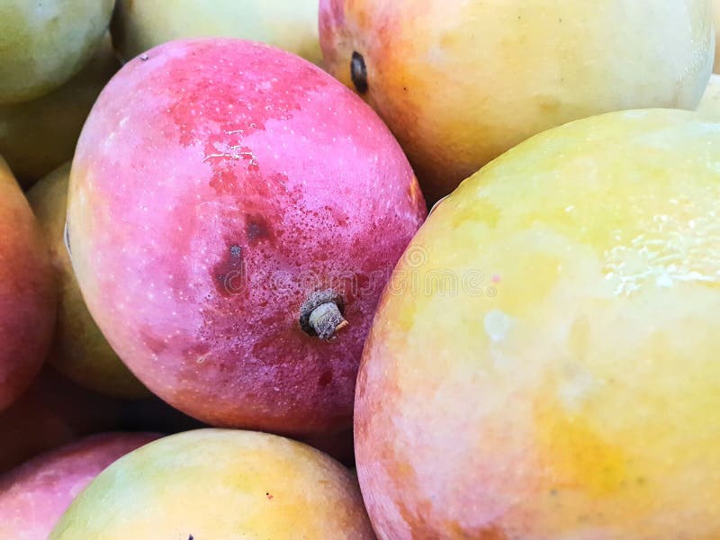 Mango on sale stock image. Image of plants, ripe, supermarket - 368649949
