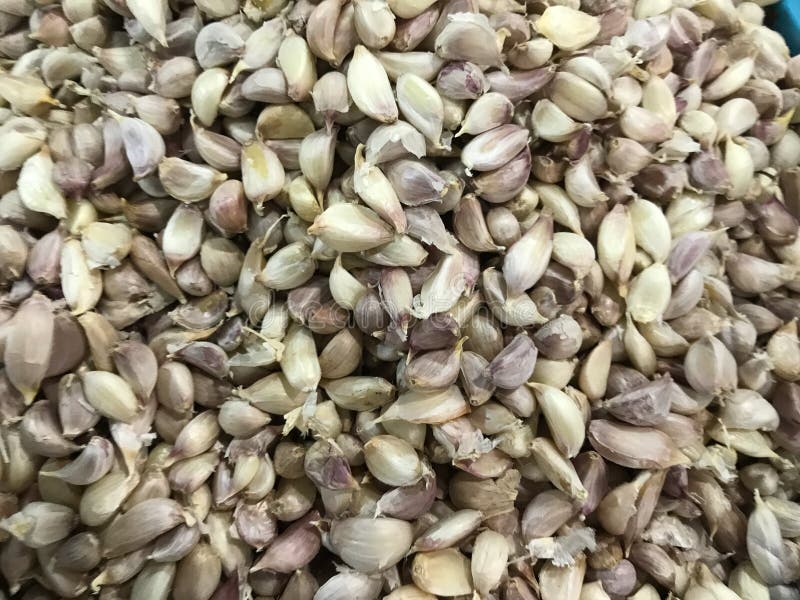 Ile of small garlic stock photo. Image of cuisine, blooming - 106332820