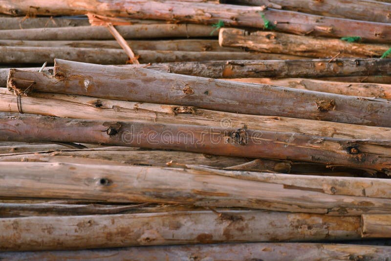 Close Up a Pile of a Wood Texture Stock Image - Image of logs, hardwood ...