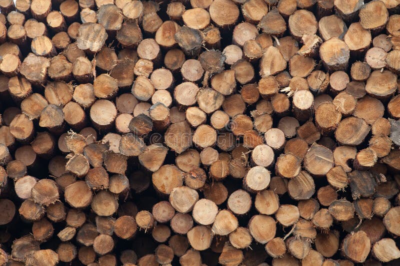 Close-Up of a Pile of Wooden Logs for a Natural Rustic Background Stock ...