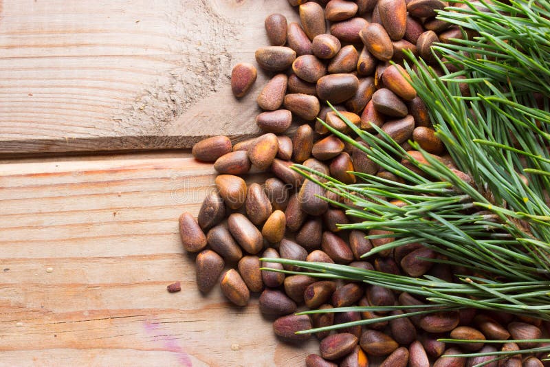 Close Up of the Pine Nuts. Pinus Koraiensis Stock Image - Image of heap ...
