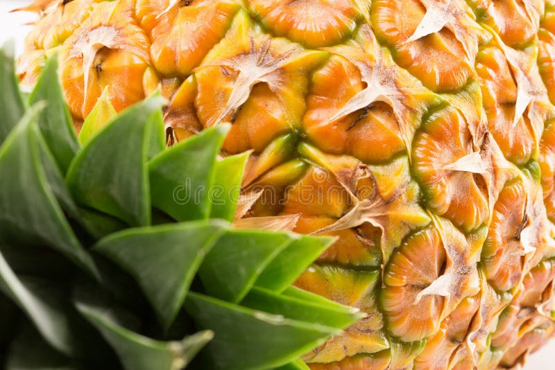 Close up of pineapple stock image. Image of vegetable - 141792411