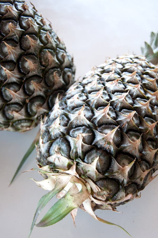 Close up pineapple stock photo. Image of sweet, tropical - 21326434