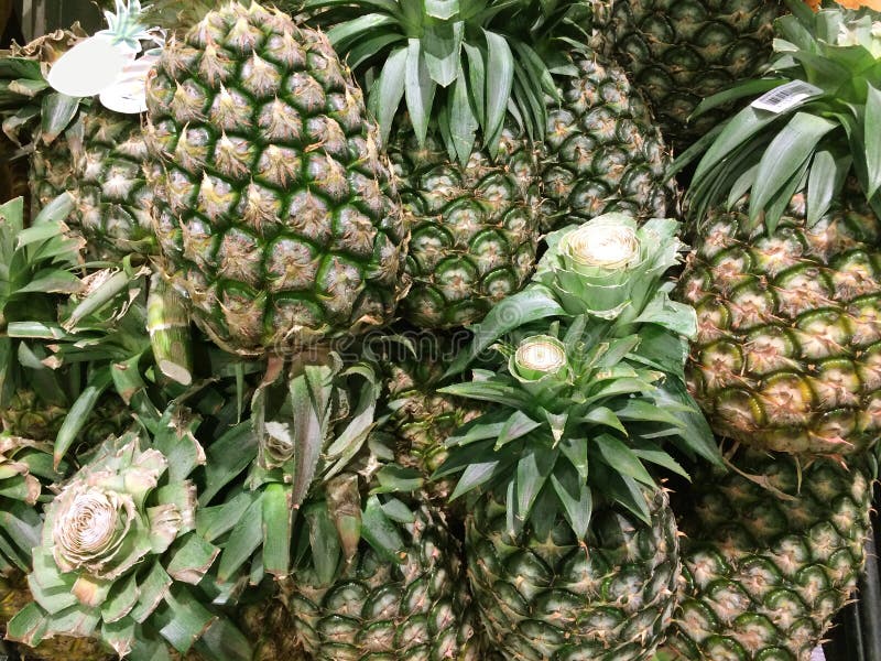 Close-up Pineapple Big Fresh Fruit. Stock Image - Image of plant ...