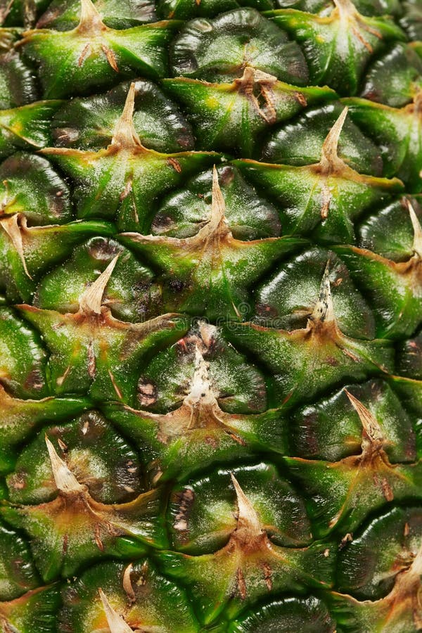Close-up of pineapple stock photo. Image of macro, ripe - 30646306