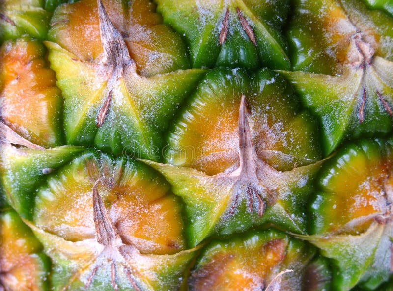 Close up of pineapple skin stock photo. Image of caribbean - 10247358