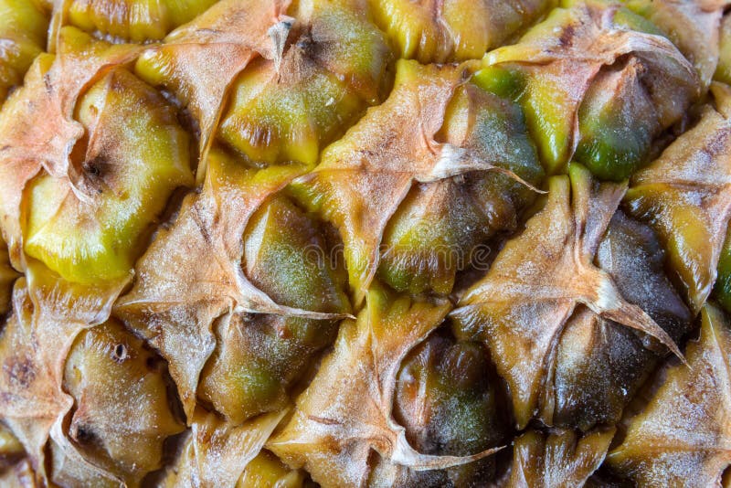 Close-up of Pineapple Skin Texture 2 Stock Image - Image of background ...