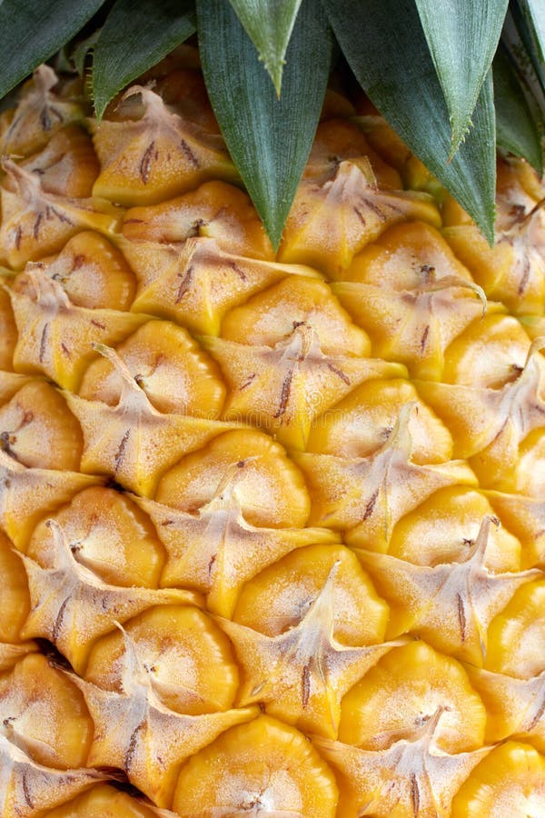 Close Up of Pineapple Skin Texture Background Stock Photo - Image of ...