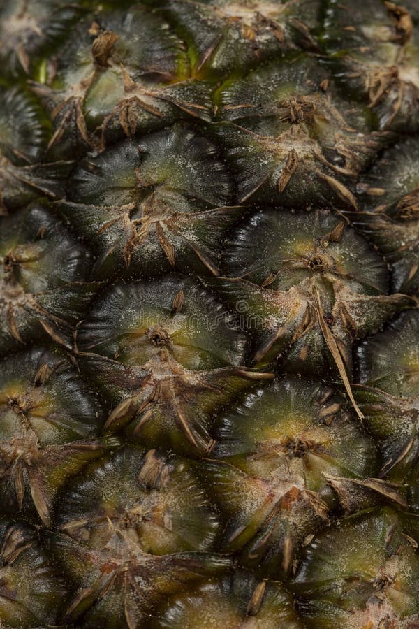 Close up of pineapple stock image. Image of antioxidant - 213851641