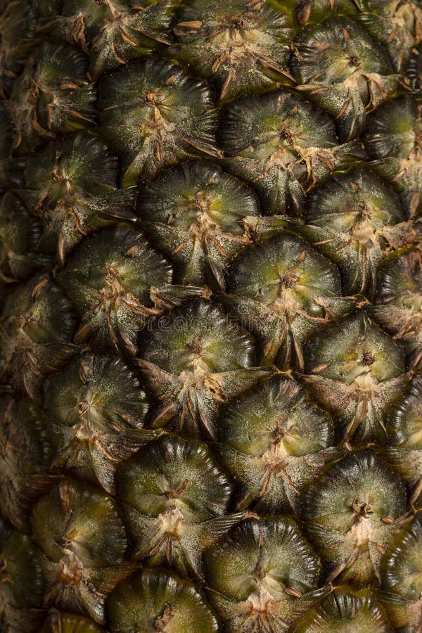 Close up of pineapple stock image. Image of fructose - 213851701