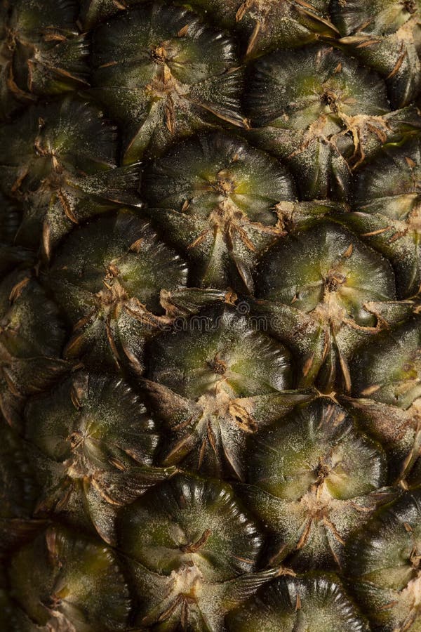 Close up of pineapple stock photo. Image of fruit, detail - 213851756