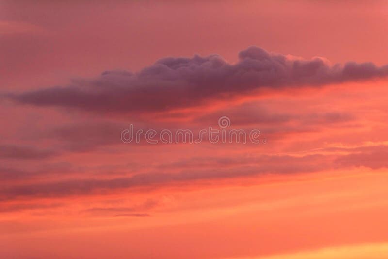 Close-up of Pink Coloured Clouds. Stock Photo - Image of light, clouds ...