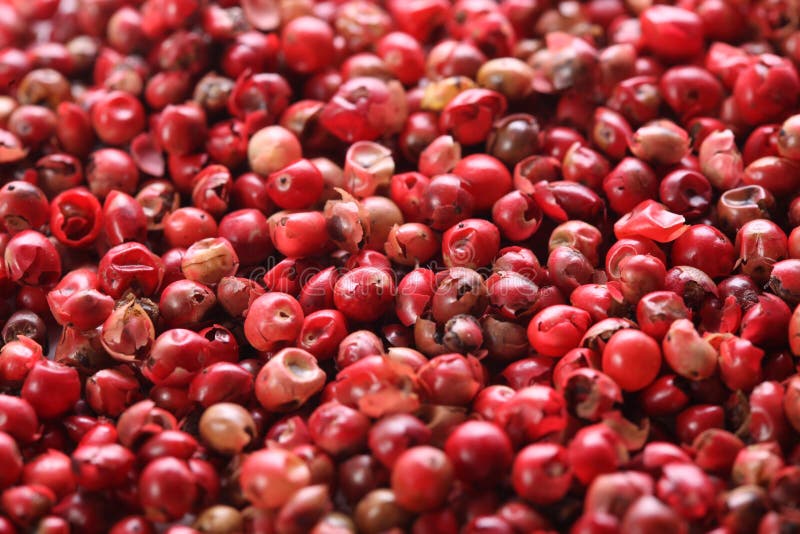 Pink Pepper Grains Coming Out from Its Container Isolated on White ...