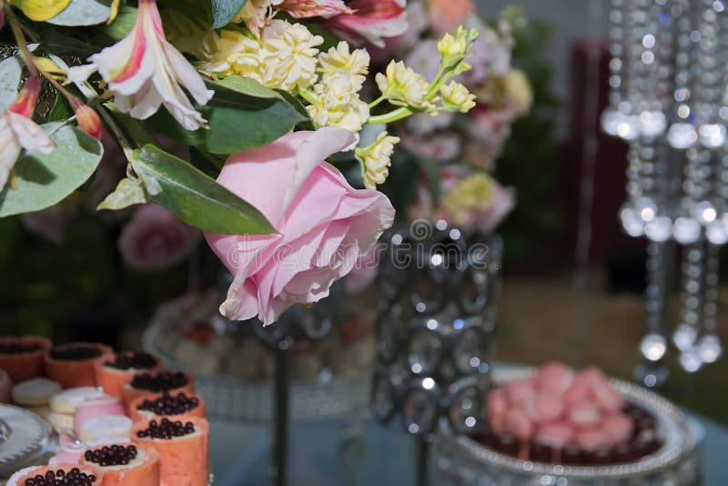Close Up of Pink Rose at Wedding Party Stock Photo - Image of honeymoon ...