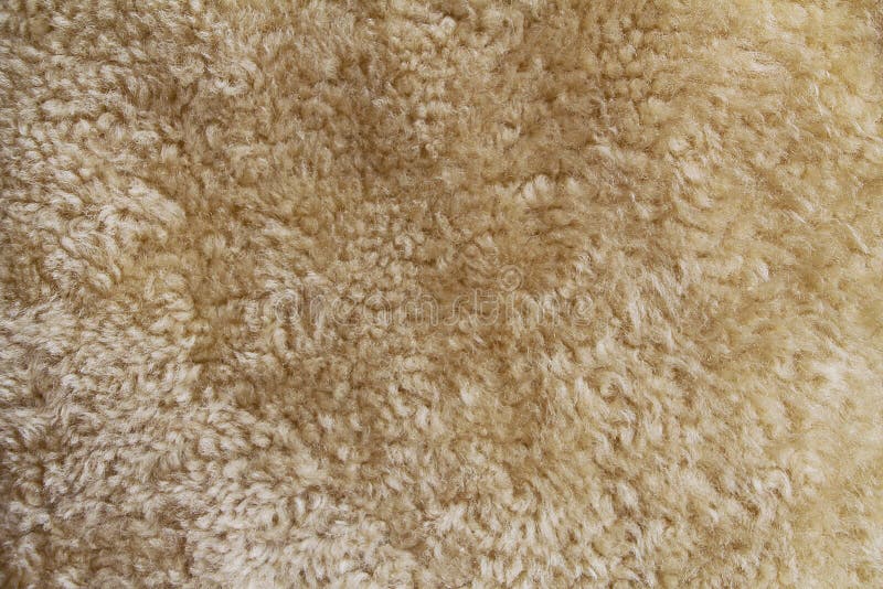 3,891 Woolly Texture Stock Photos - Free & Royalty-Free Stock Photos ...