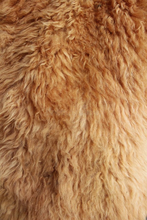 Close Up of Pink Wool Texture Background Stock Photo - Image of ...