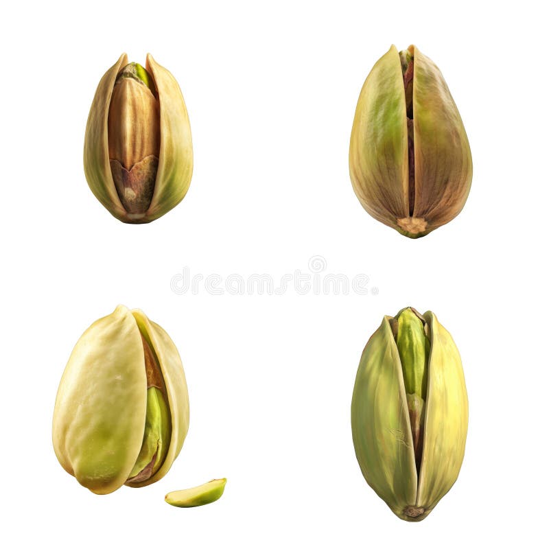Close-up of Pistachio Nuts in Various Stages of Opening Stock ...
