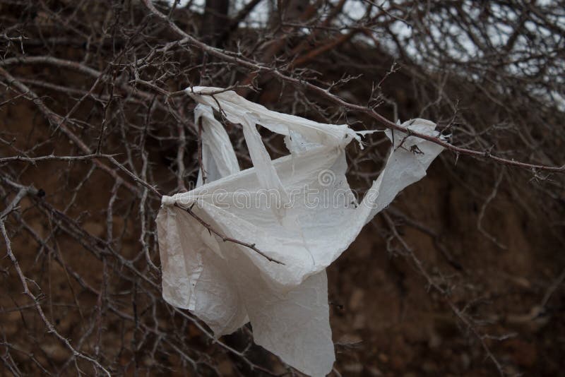 Pollution. Plastic Bag Hanging of a Tree Branch. Stock Photo - Image of ...