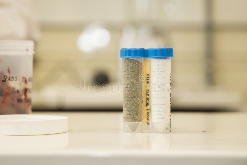 Close-up of Plastic 50 Ml Sample Tubes with Sample Portions of GMO ...