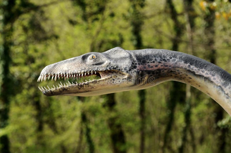Close Up of Plesiosaurus Model Editorial Stock Photo - Image of ...