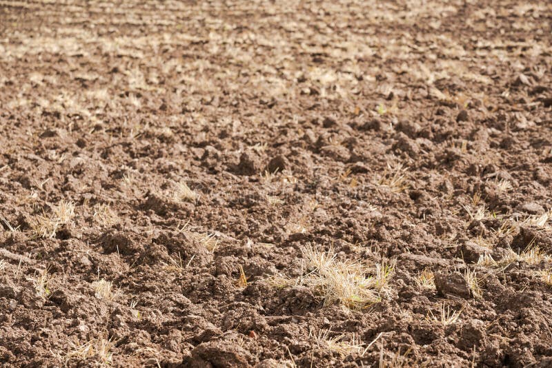 Close up of a plowed field stock image. Image of farming - 86019869