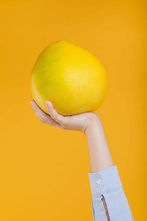 Pomelo in hand stock photo. Image of healthy, human, orange - 30619334