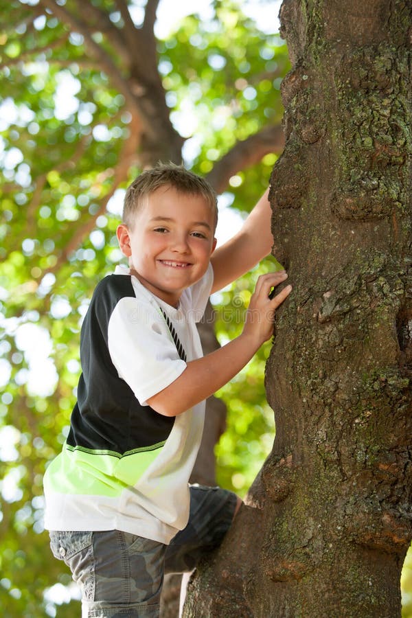 Cute boy climbing a tree. stock photo. Image of spring - 30085962