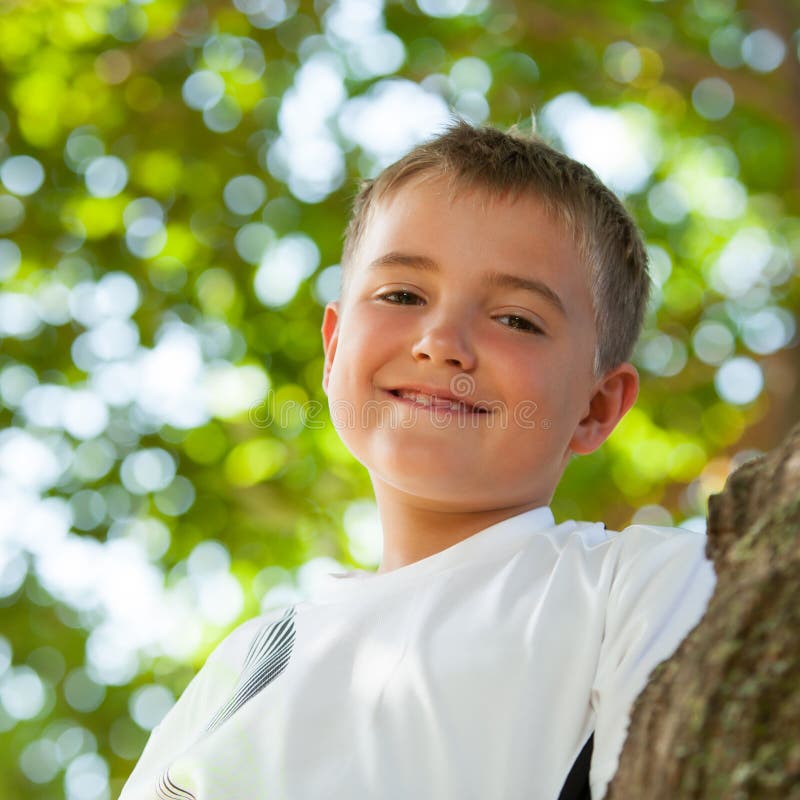 Boy climbing on tree stock photo. Image of exploration - 39112780