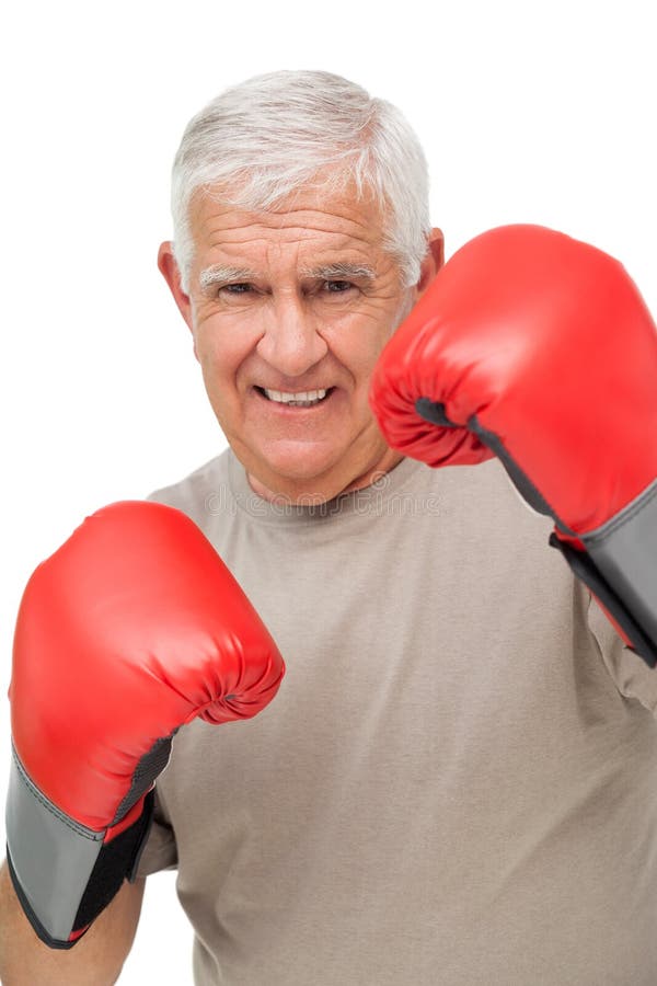 Senior Boxer stock photo. Image of handsome, fitness - 40502276