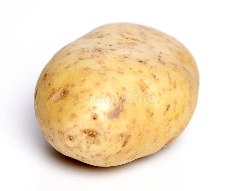 Potao Plant Stock Photos - Free & Royalty-Free Stock Photos from Dreamstime