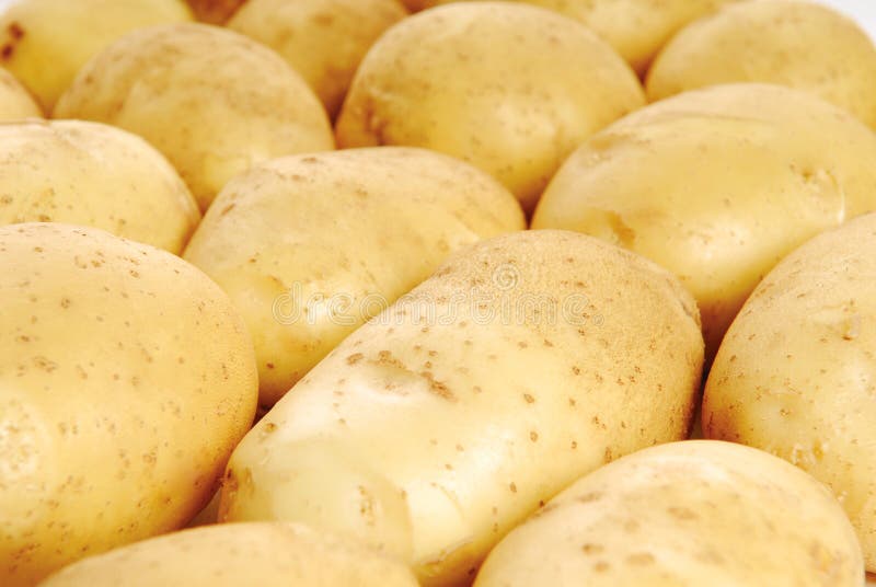 Close up potato stock photo. Image of heap, prepared, cocking - 3137730