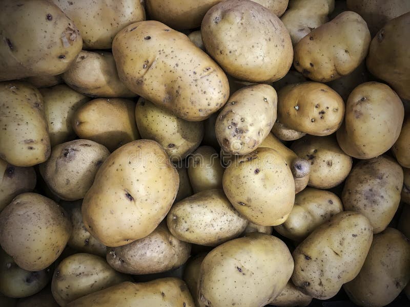 Potato texture stock photo. Image of market, potato, texture - 18343564