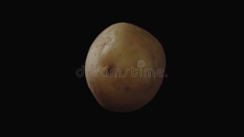 Close-up, Potato Tuber Rotating on Its Axis on Black Background Stock ...