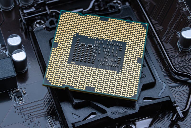 Close-up of a Powerful Processor Prepared for Installation in a Slot ...