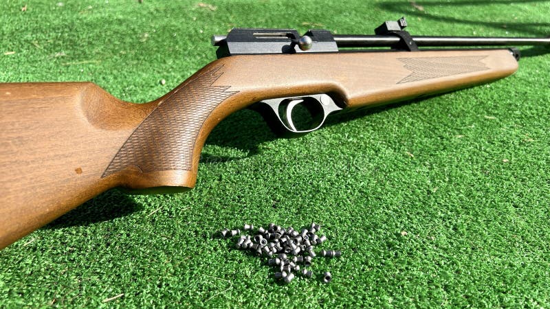 Close Up of a Practice Rifle with Lead Ammunition on Artificial Grass ...