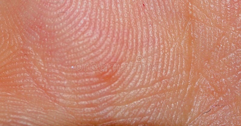 Close Up of Prints on Human Palm Stock Photo - Image of prints, palm ...