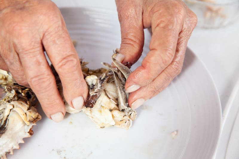 Close Up of the Process of Breaking Down a Fresh Crab To Take Out the ...