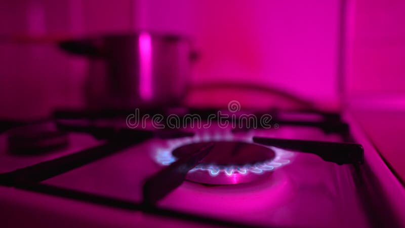 Burning Flame of a Gas Burner, Gas Ignition, Fire on the Stove. Stock ...