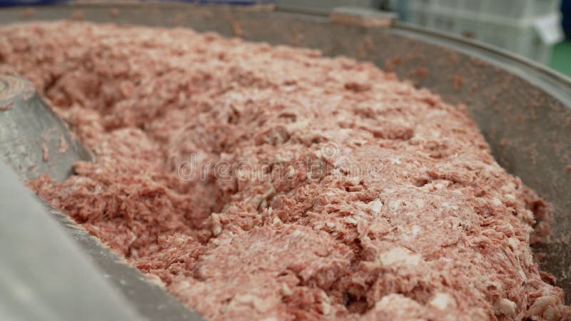 Close-up of Processing Lard or Meat into Minced Meat in a Huge Meat ...